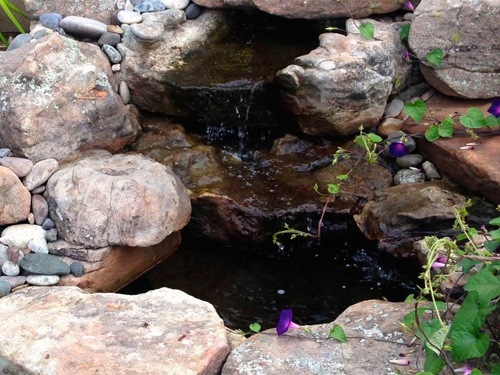 Water Gardens in Santa Fe - McCumber Fine Gardens