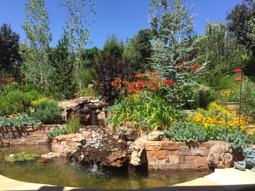 Water Gardens Portfolio - McCumber Fine Gardens