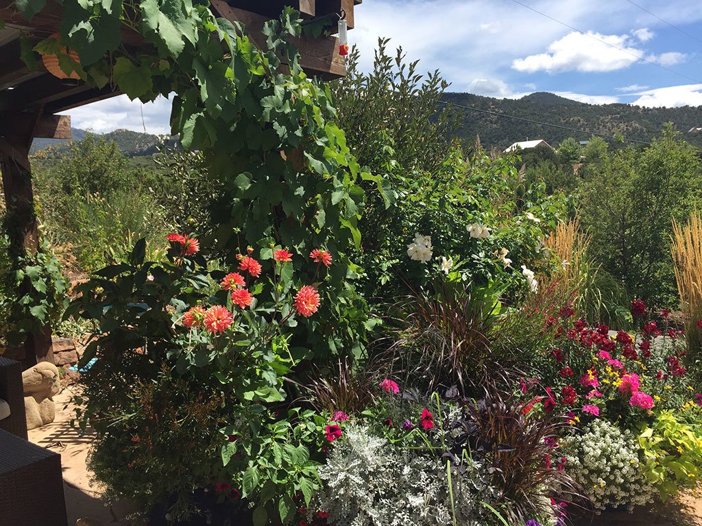 Container Gardens Portfolio - McCumber Fine Gardens