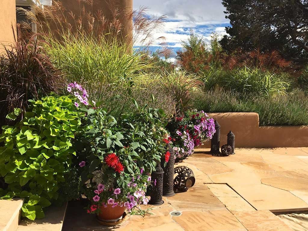 Container Gardens Portfolio - McCumber Fine Gardens