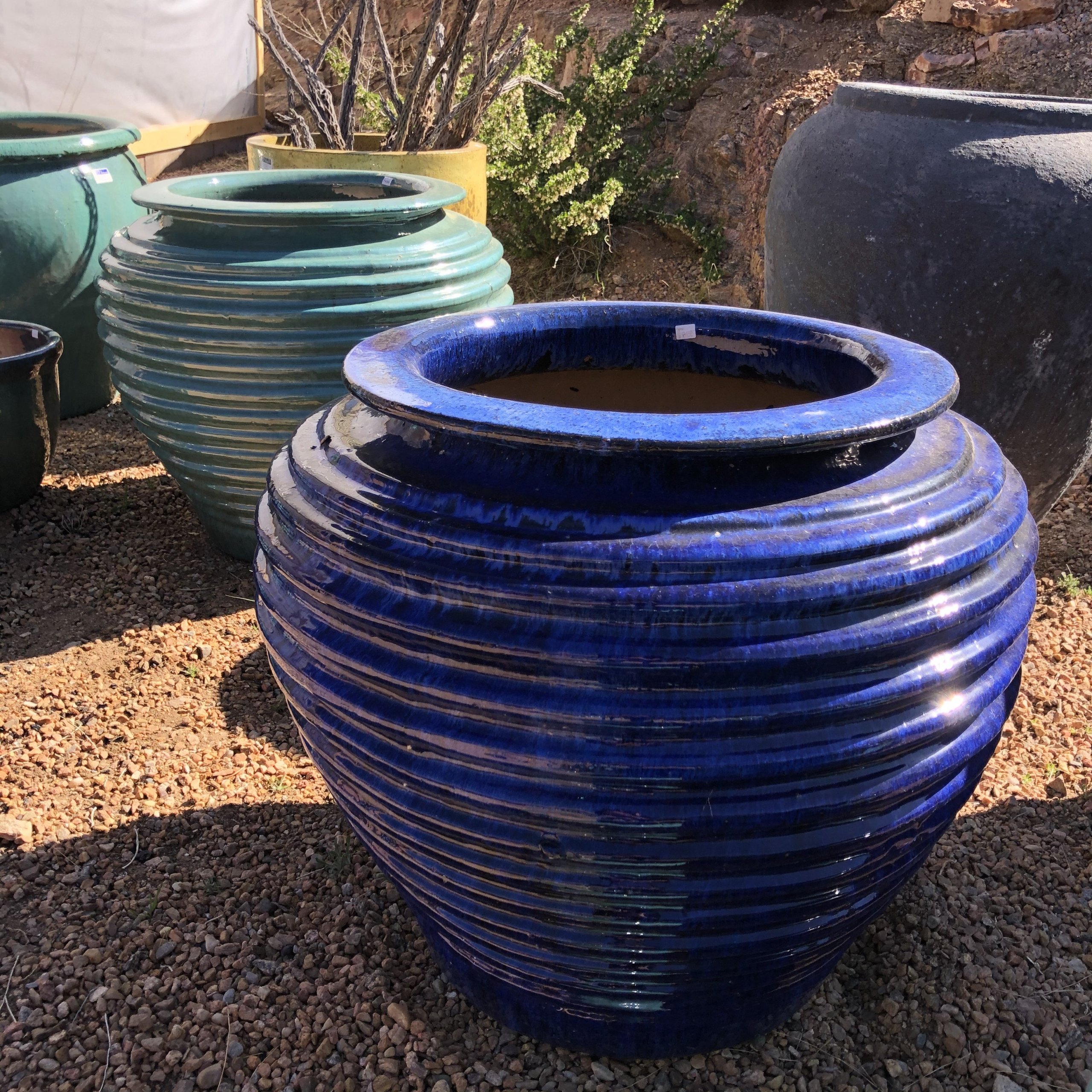 Anamese Giant Coil Planter - McCumber Fine Gardens