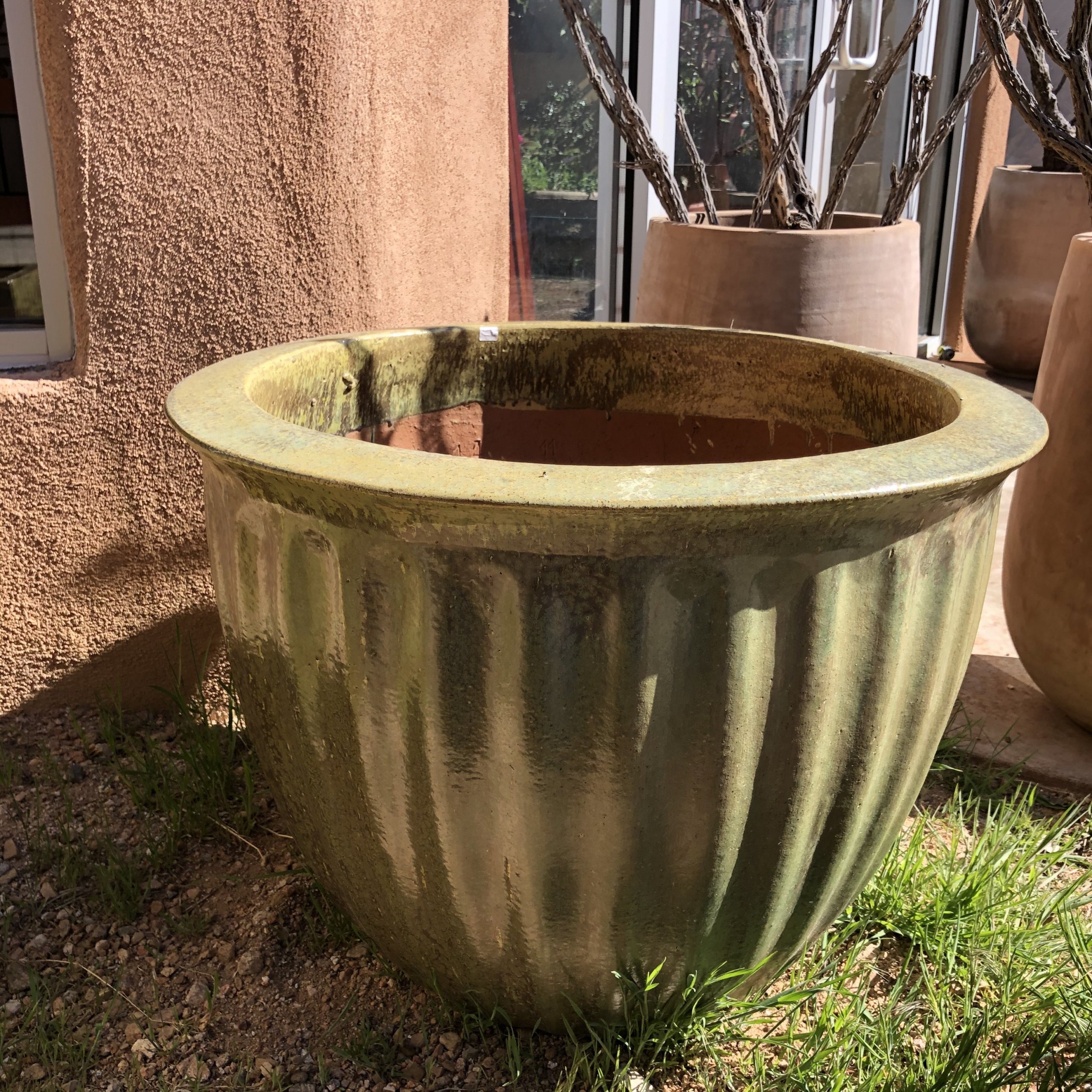 Anamese Starfruit Planter XL Swamp - McCumber Fine Gardens