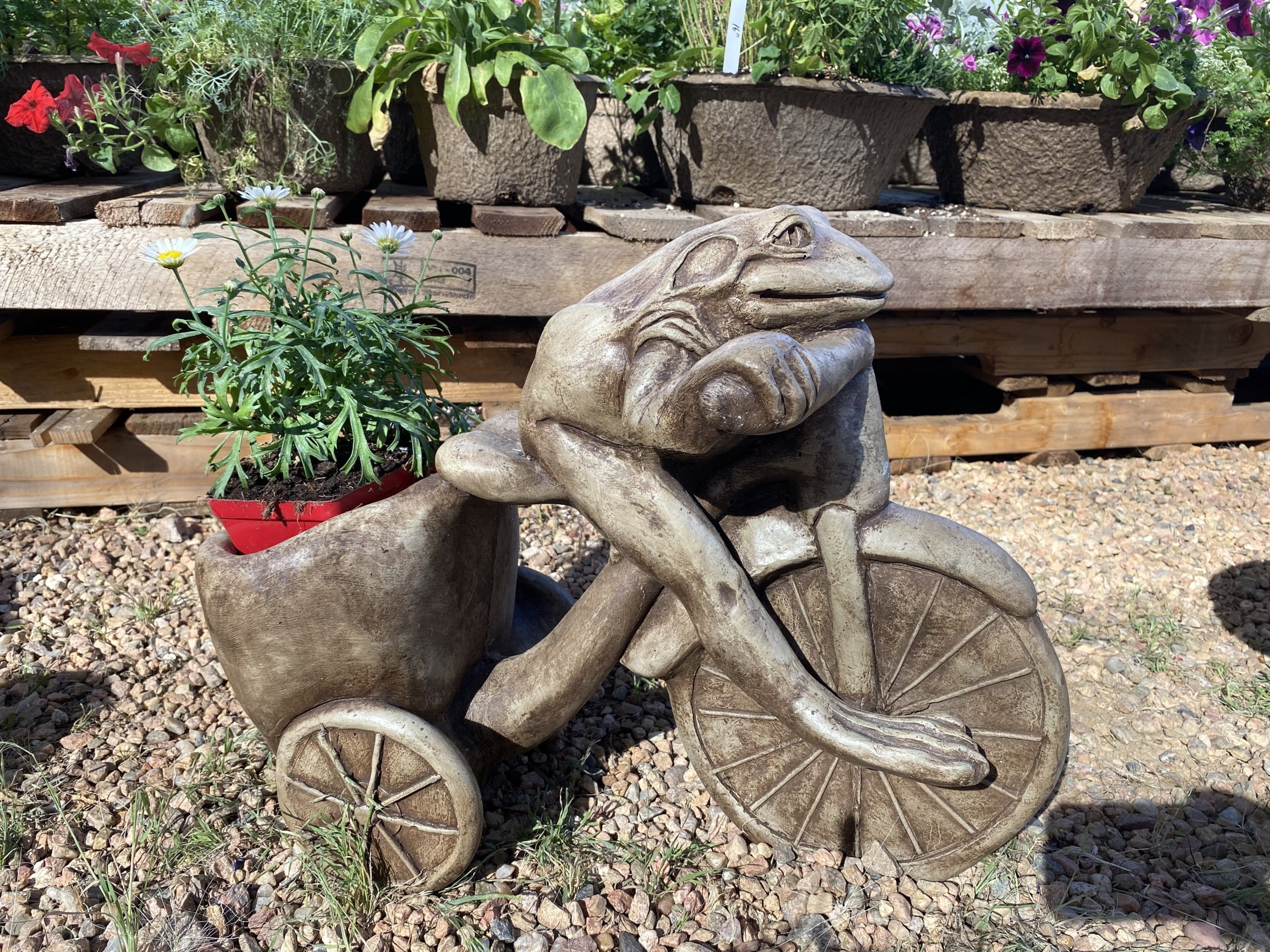 Campania Tricycle Frog Planter - McCumber Fine Gardens