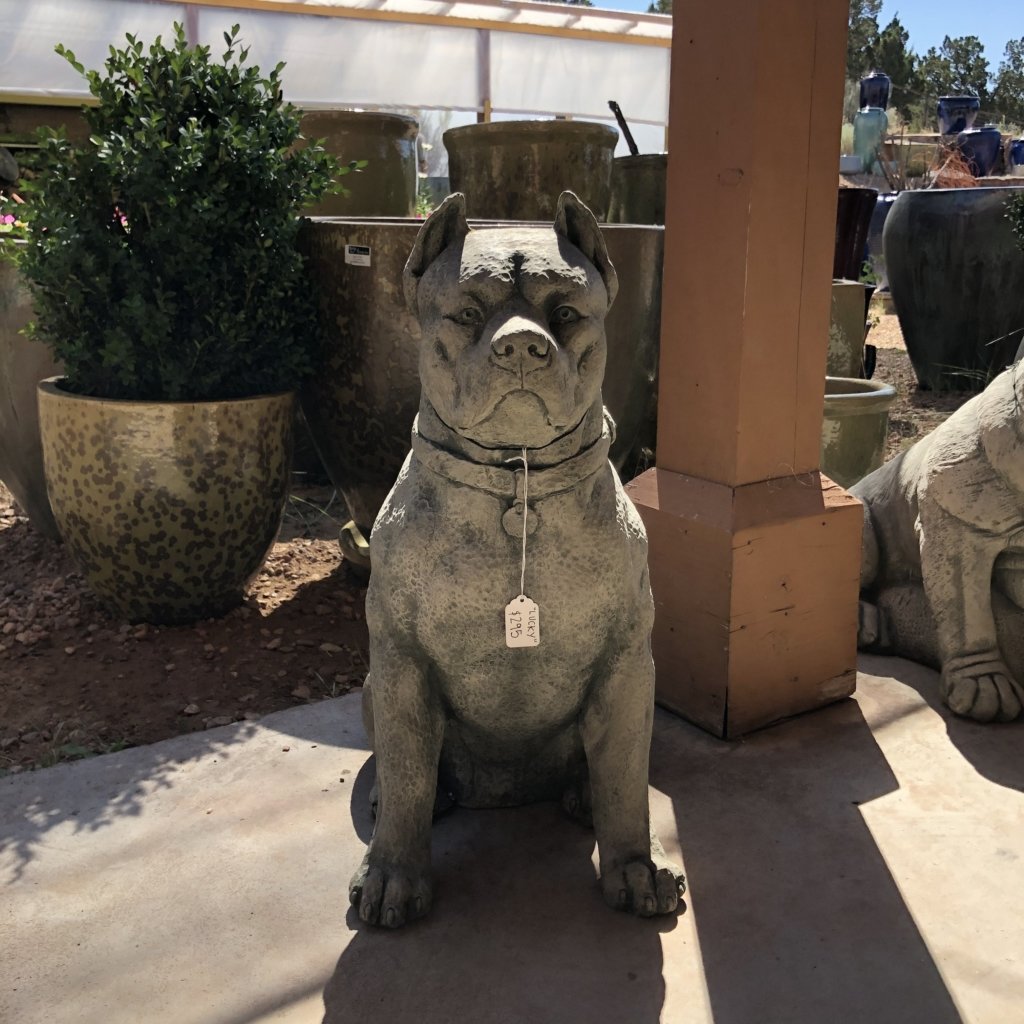 Campania Lucky Guard Dog Garden Statue - McCumber Fine Gardens