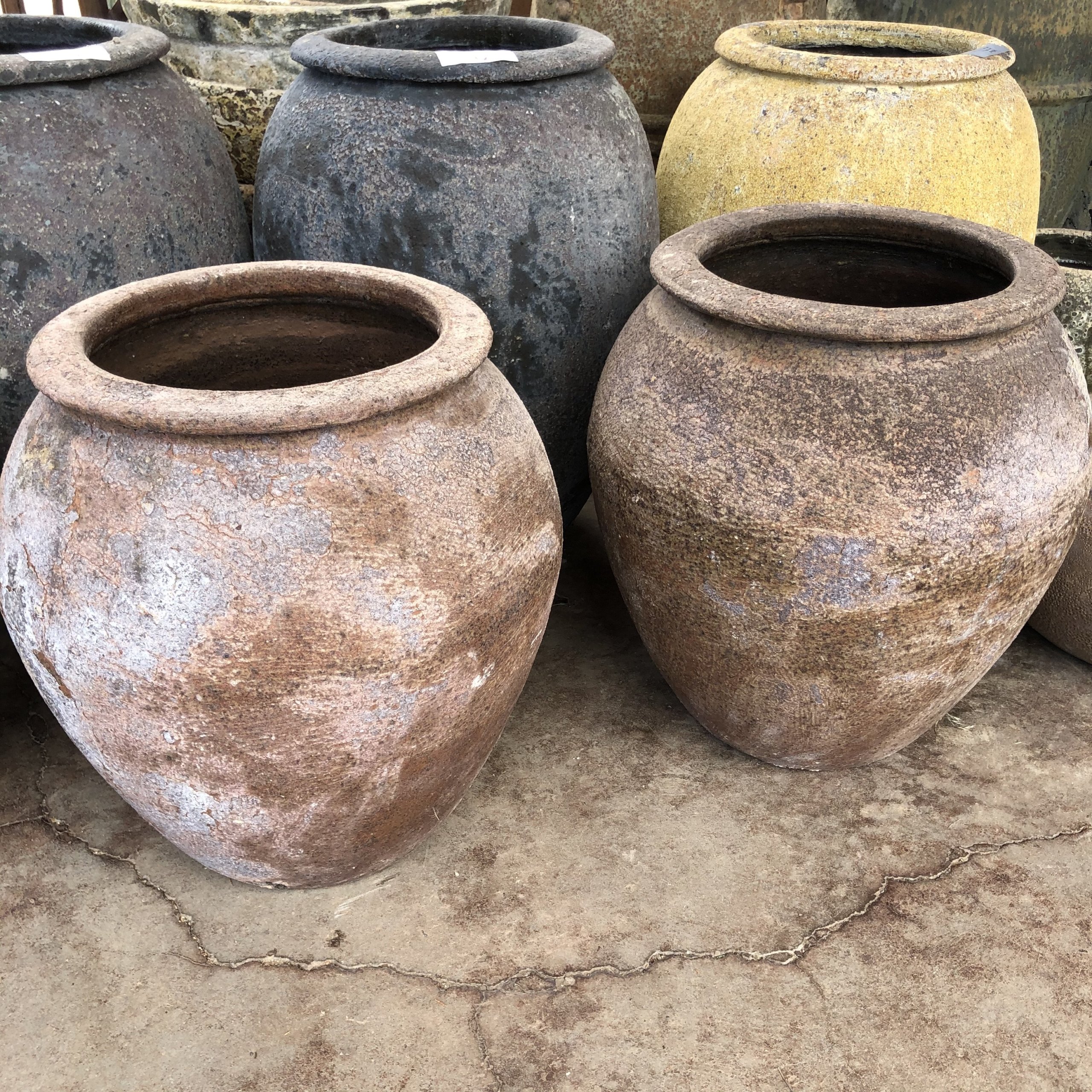 Anamese Oil Jar - McCumber Fine Gardens