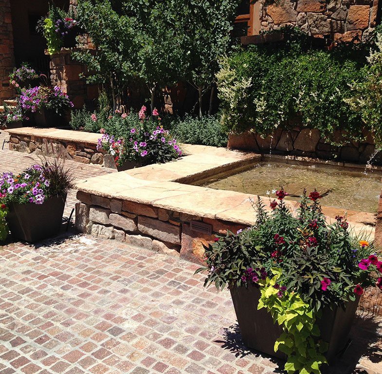 Container Gardens in Santa Fe - McCumber Fine Gardens