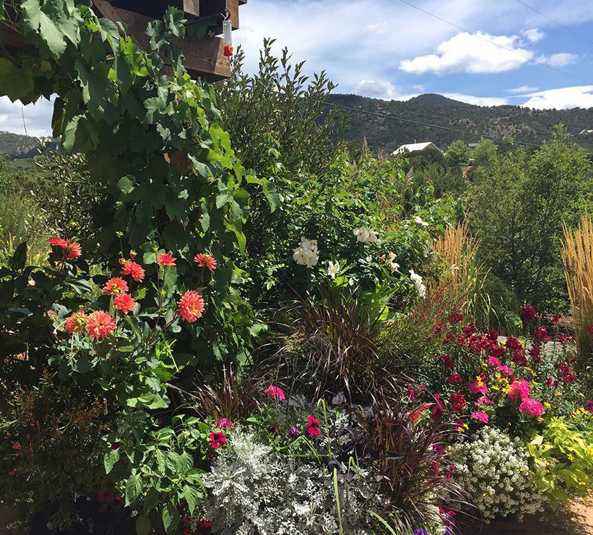 Container Gardens in Santa Fe - McCumber Fine Gardens