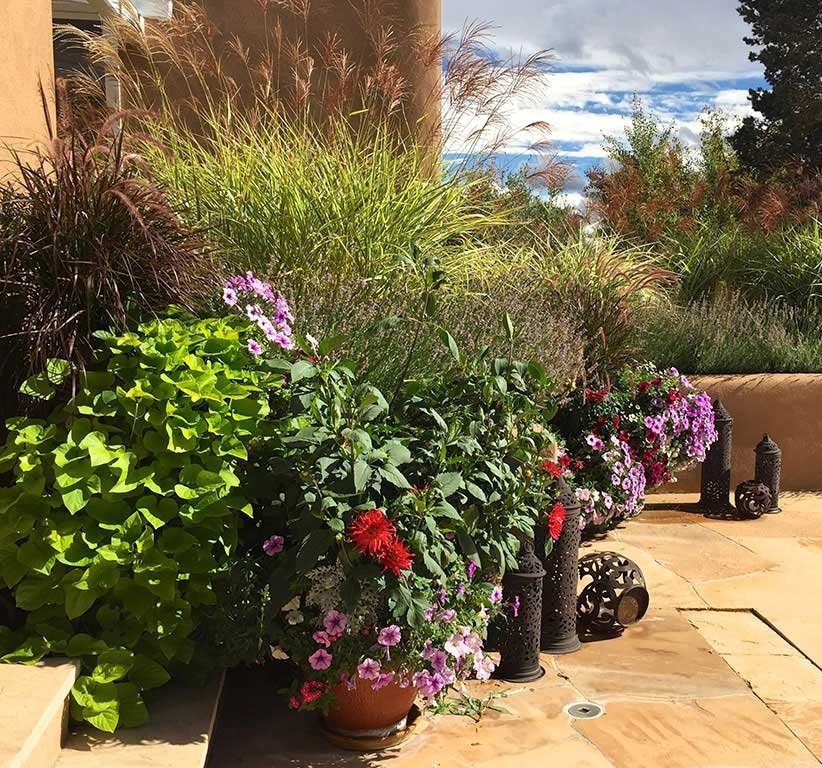 Container Gardens in Santa Fe - McCumber Fine Gardens