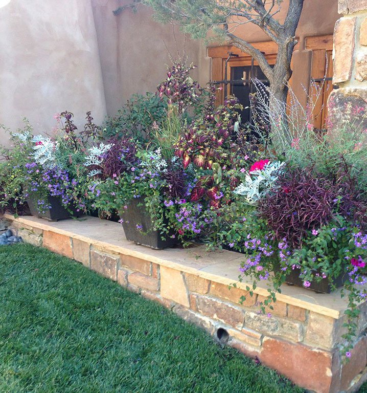 Container Gardens in Santa Fe - McCumber Fine Gardens