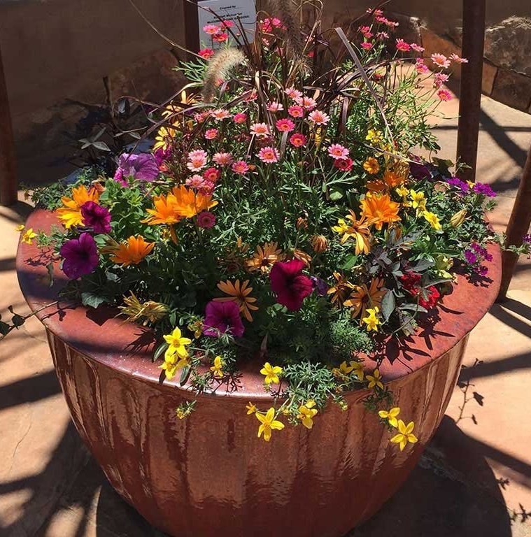 Container Gardens in Santa Fe - McCumber Fine Gardens