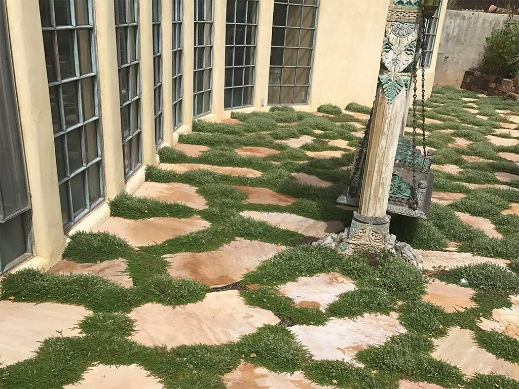 Flagstone Installation in Santa Fe - McCumber Fine Gardens