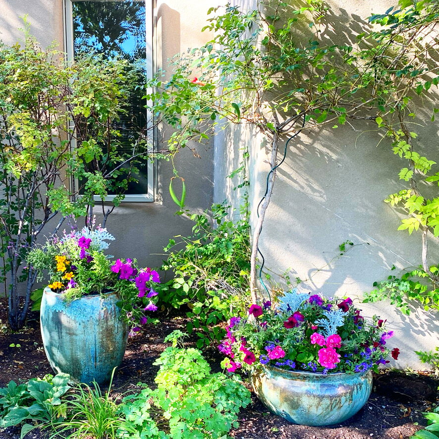 Container Gardens in Santa Fe - McCumber Fine Gardens