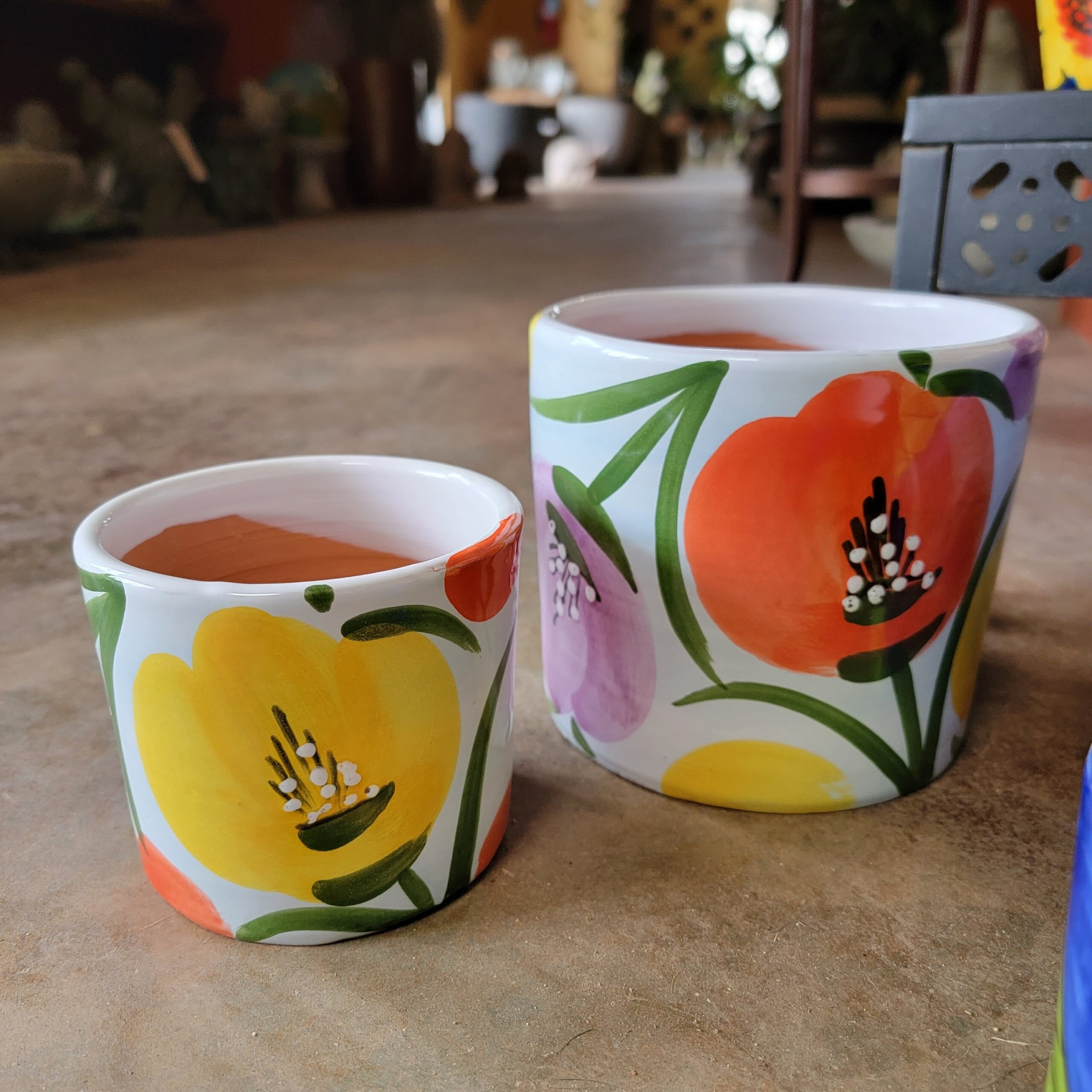 Mini Cylinder Planter - Tulip - McCumber Fine Gardens