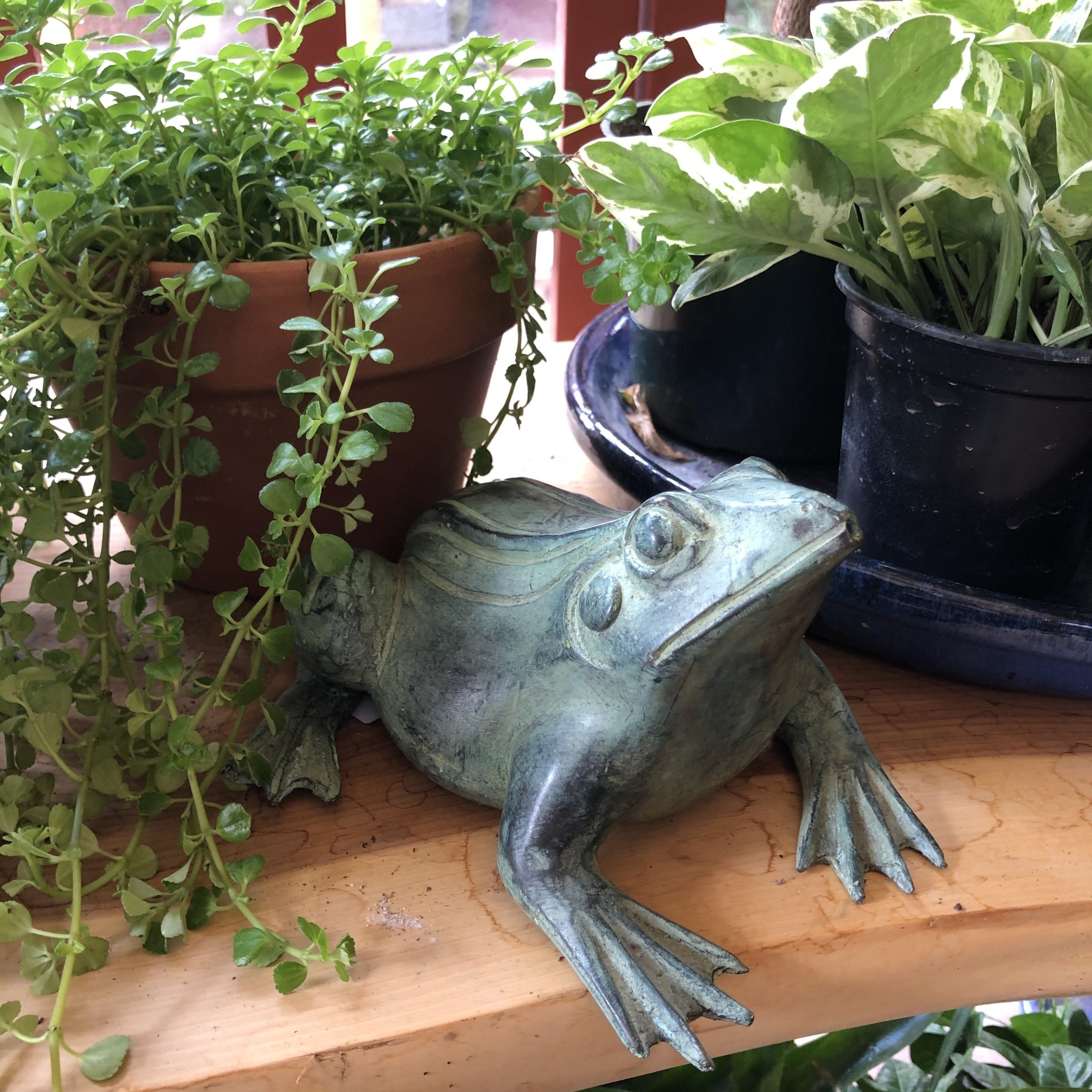 Jumping Frog Fountain - McCumber Fine Gardens